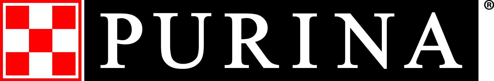 Conoce nuestro Calendario de Escritorio Personalizado - Emotions